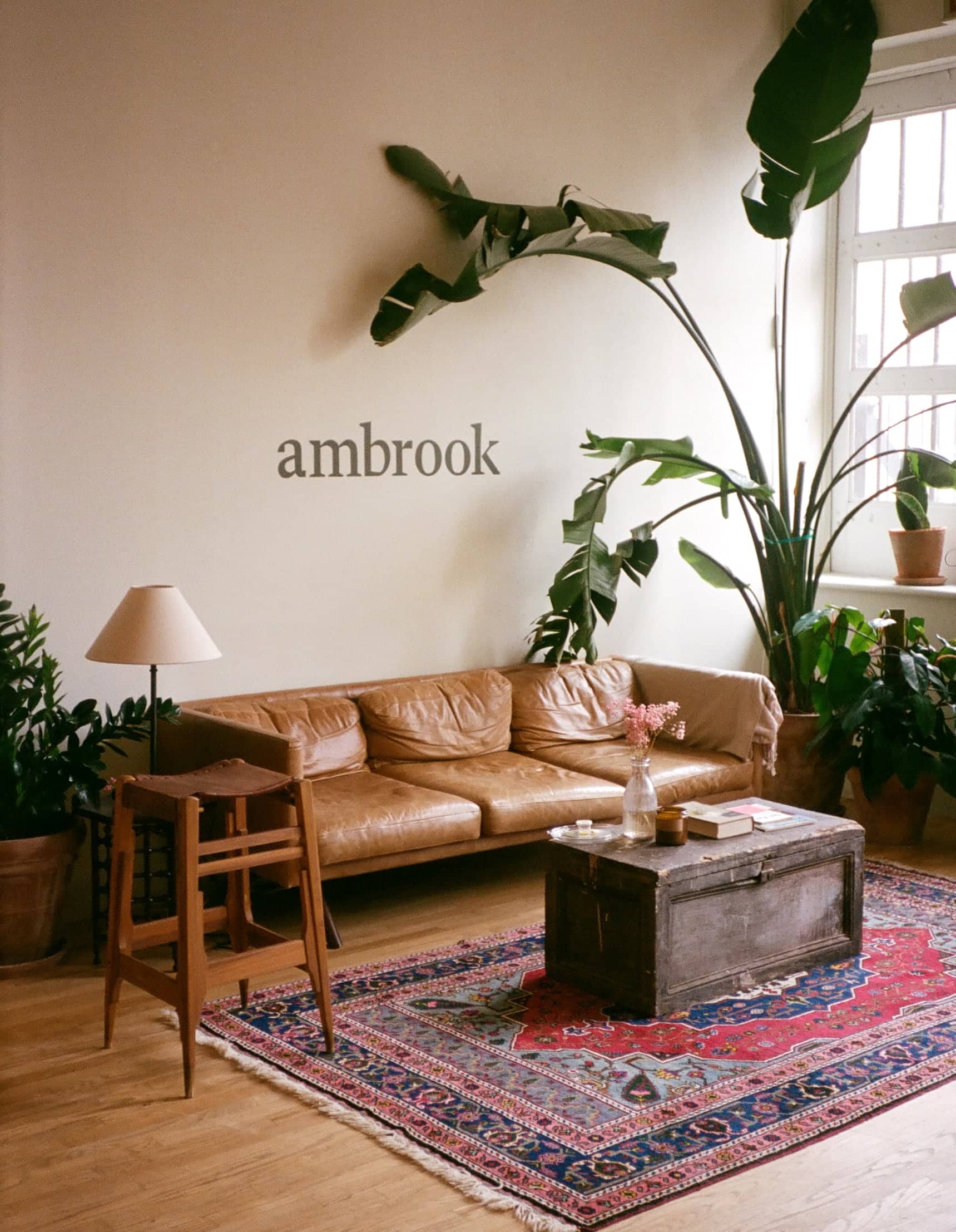 Careers | Ambrook