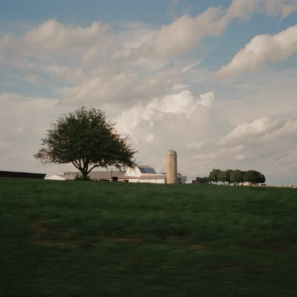 Ambrook | Accounting software that helps you run a better farm